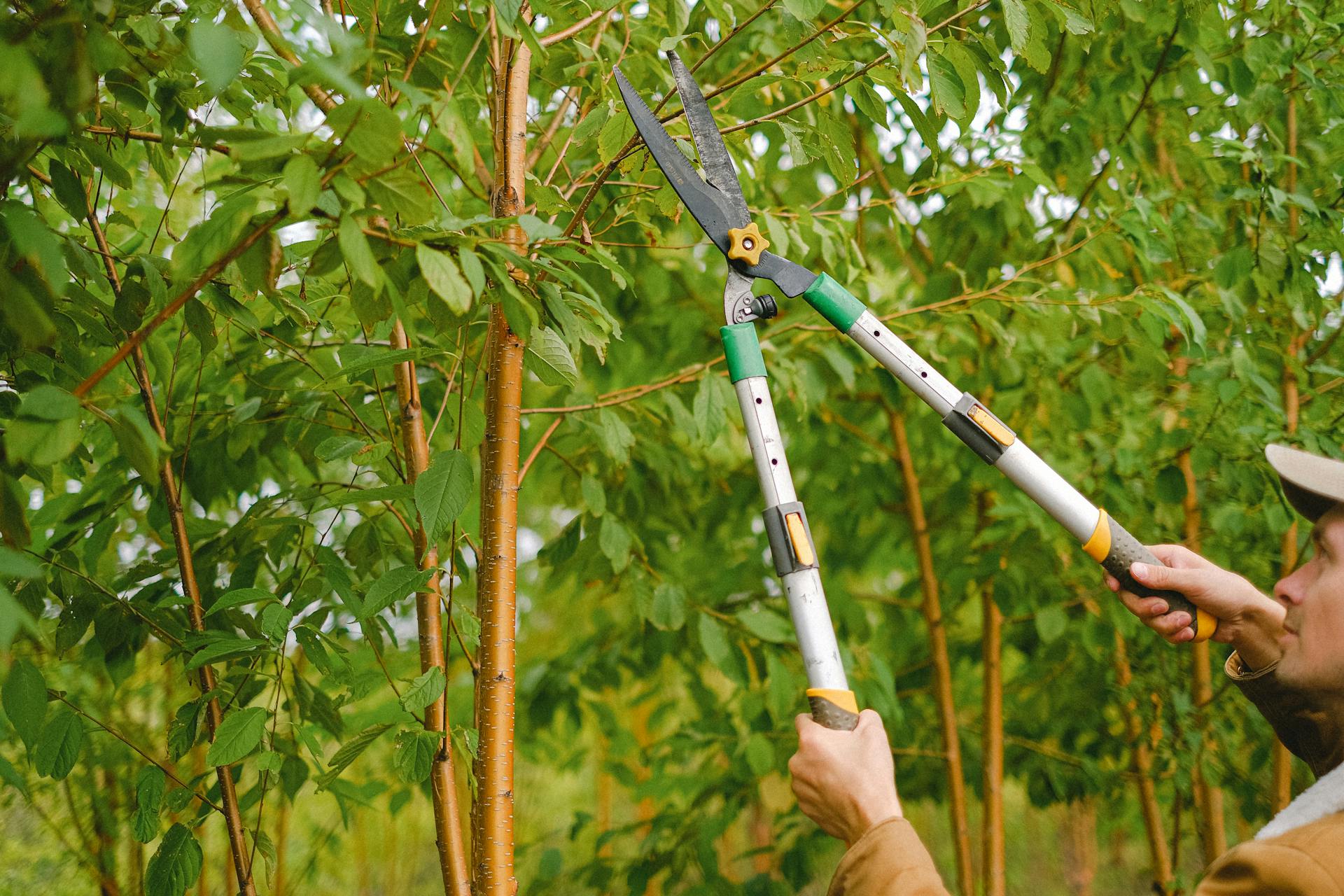 PATRIOT LAWN & LANDSCAPING LLC